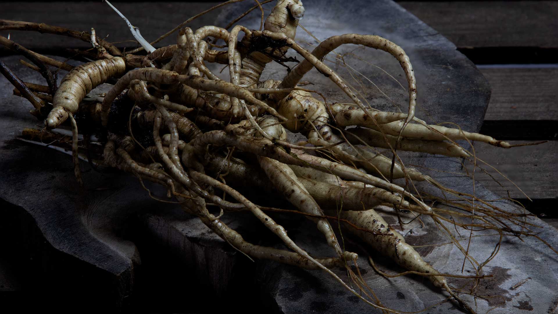 Quels sont les légumes vivaces ou perpétuels à planter au potager